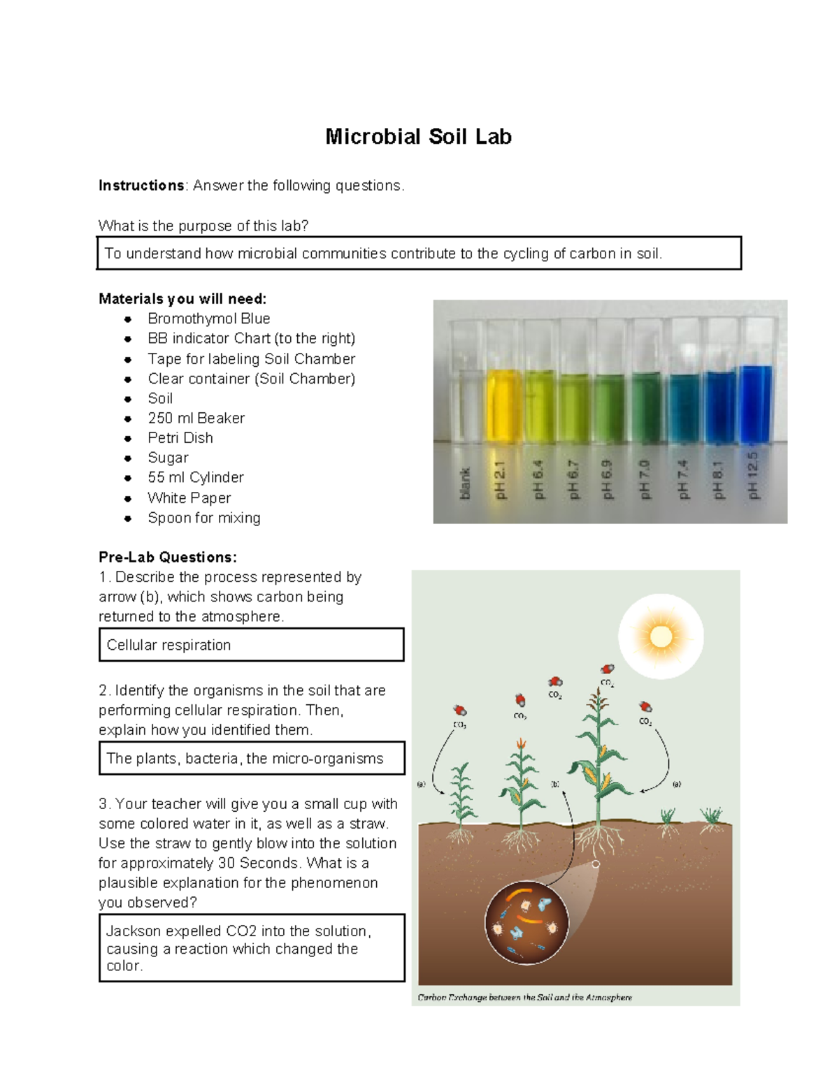 Dylan Marciano - Explore Microbial Soil Lab - Microbial Soil Lab Instructions: Answer the ...