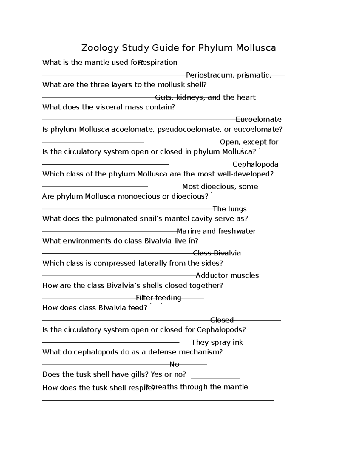 Zoology Study Guide for Phylum Mollusca - It scrapes algae off of the ...