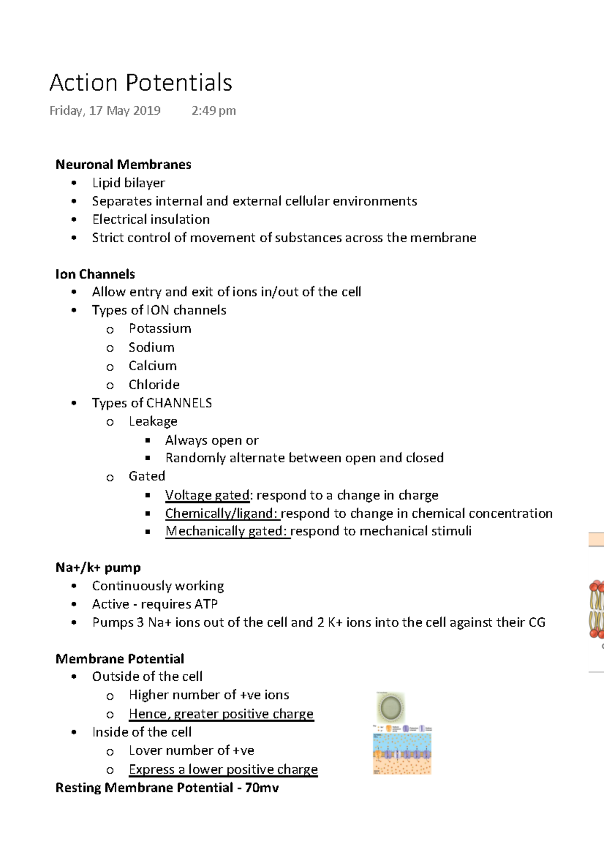 Action Potentials - Handwritten lecture notes including all the key ...