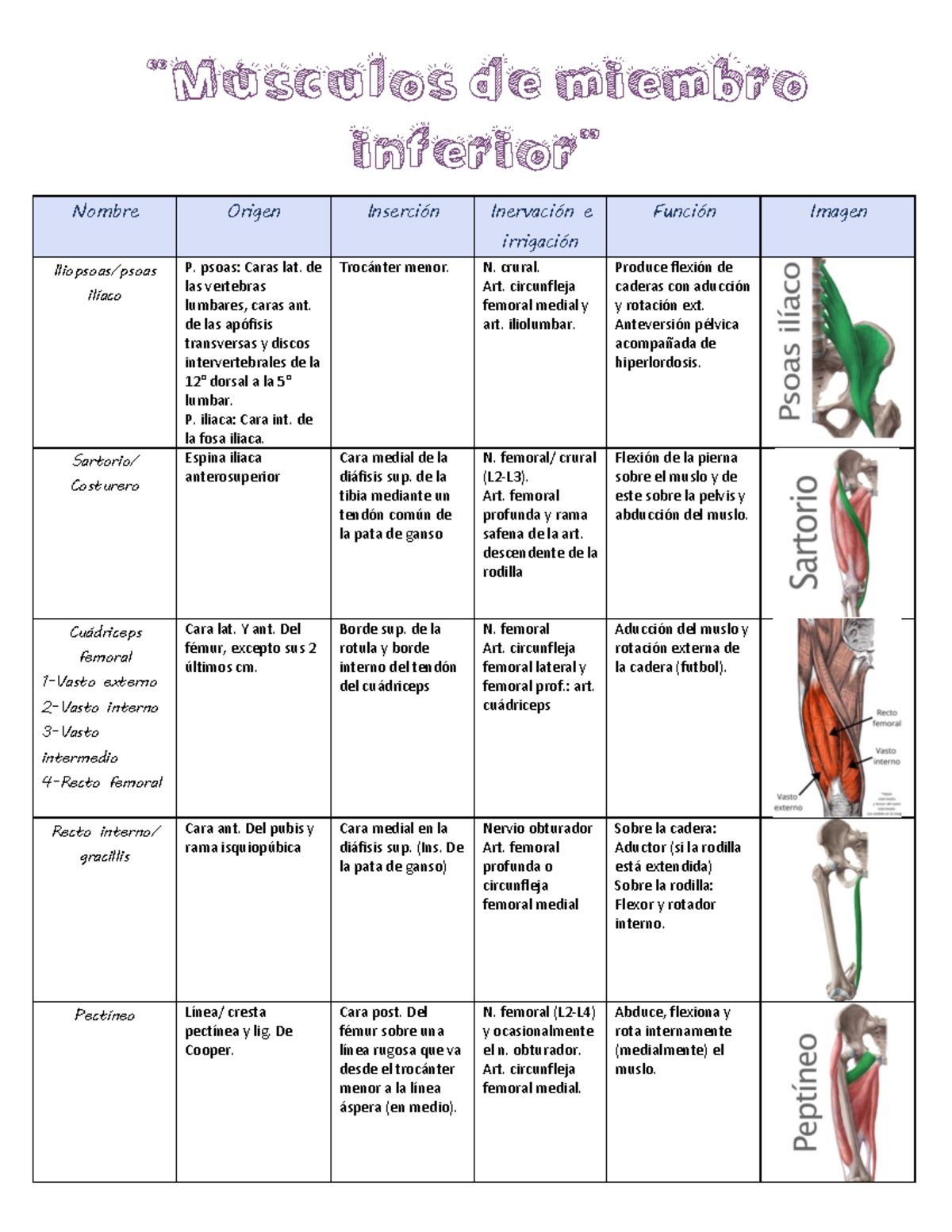 Tabla de músculos del miembro inferior anatomía II - “Músculos de ...