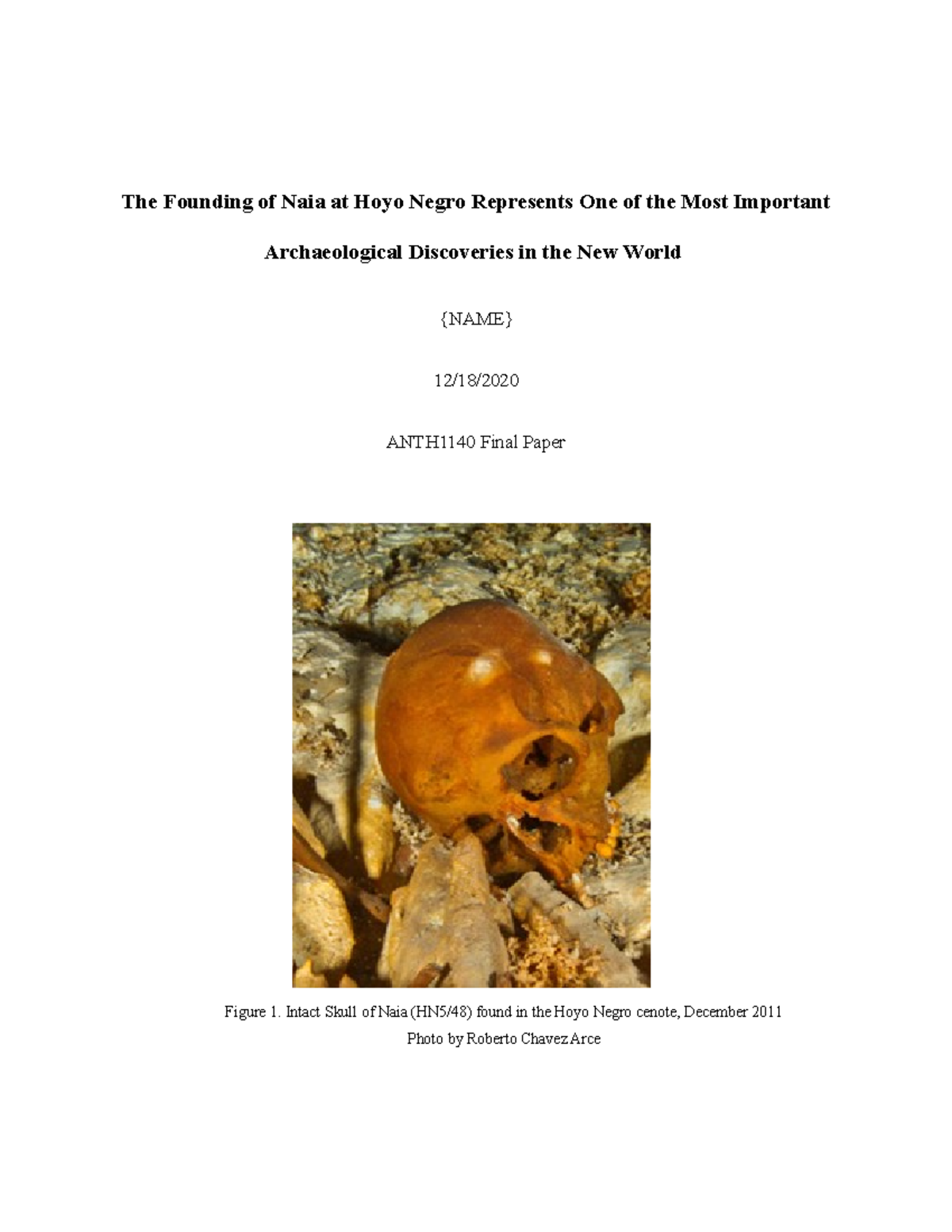 Anth1140 Final Paper - The Founding of Naia at Hoyo Negro Represents ...