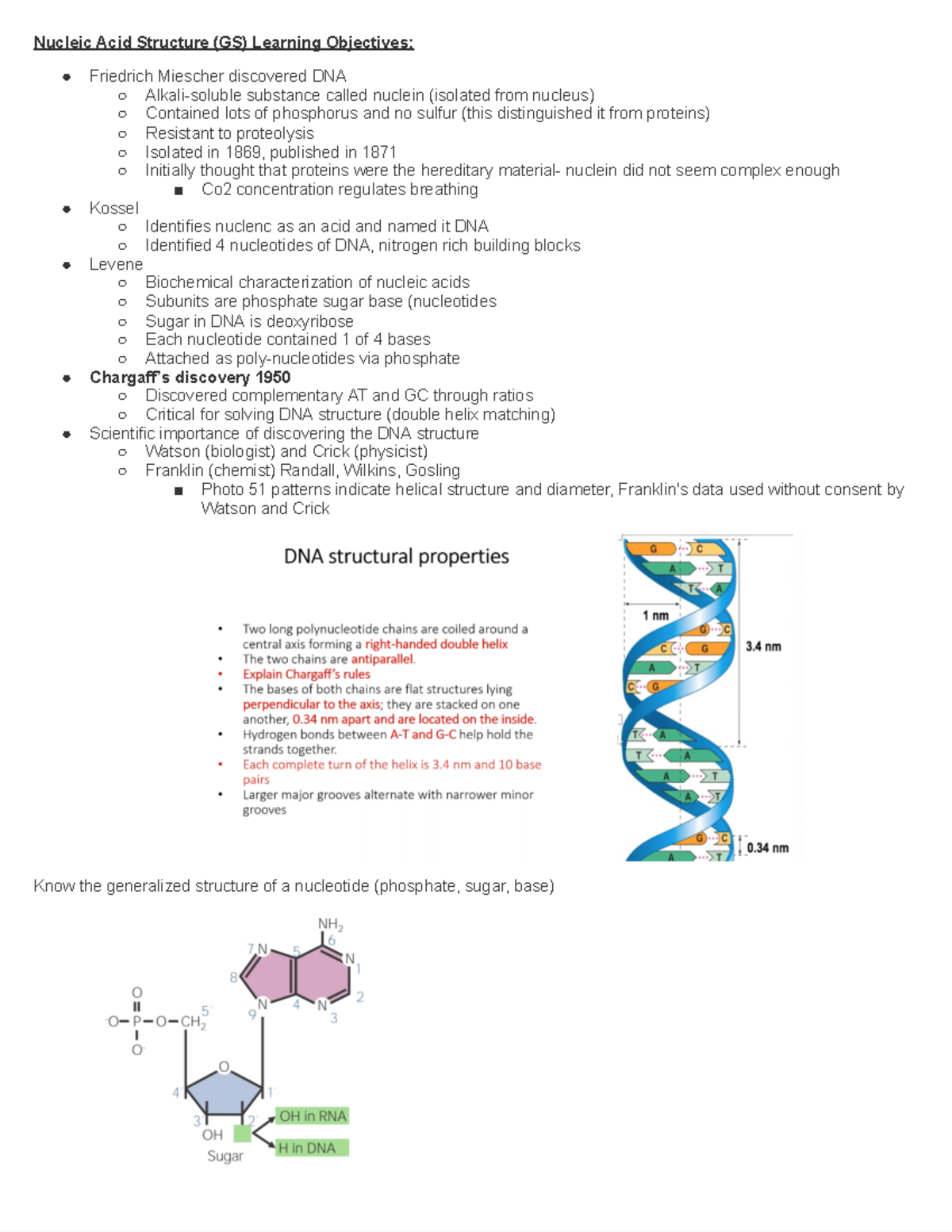 bio 201 exam 1 summary sheet - Nucleic Acid Structure (GS) Learning ...