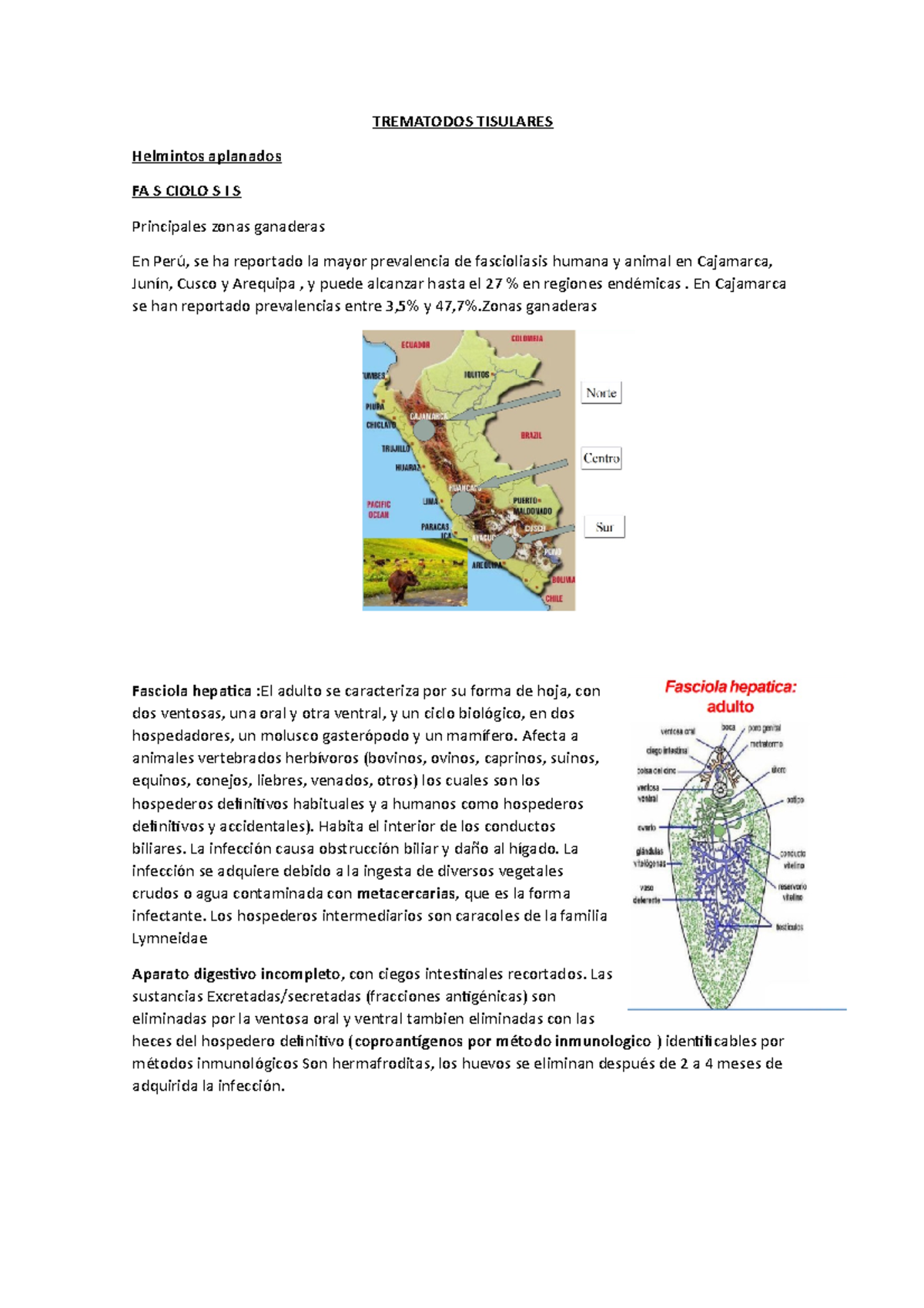 Trematodos Tisulares 1 - TREMATODOS TISULARES Helmintos aplanados FA S ...
