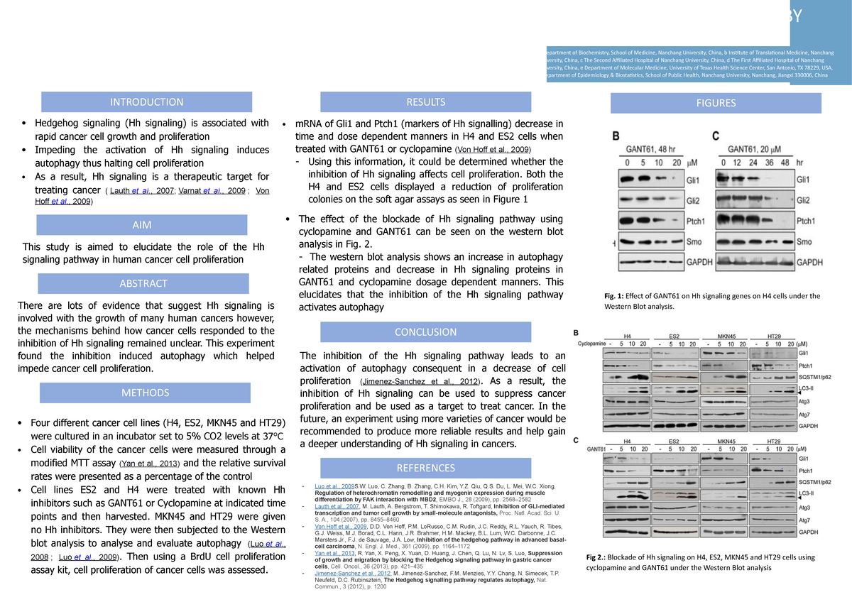 cell biology poster - INHIBITION OF HEDGEHOG SIGNALLING PATHWAY IMPEDES ...