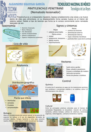 Proceso Administrativo DE ALEC Mackenzie-adjunto - PROCESO ...