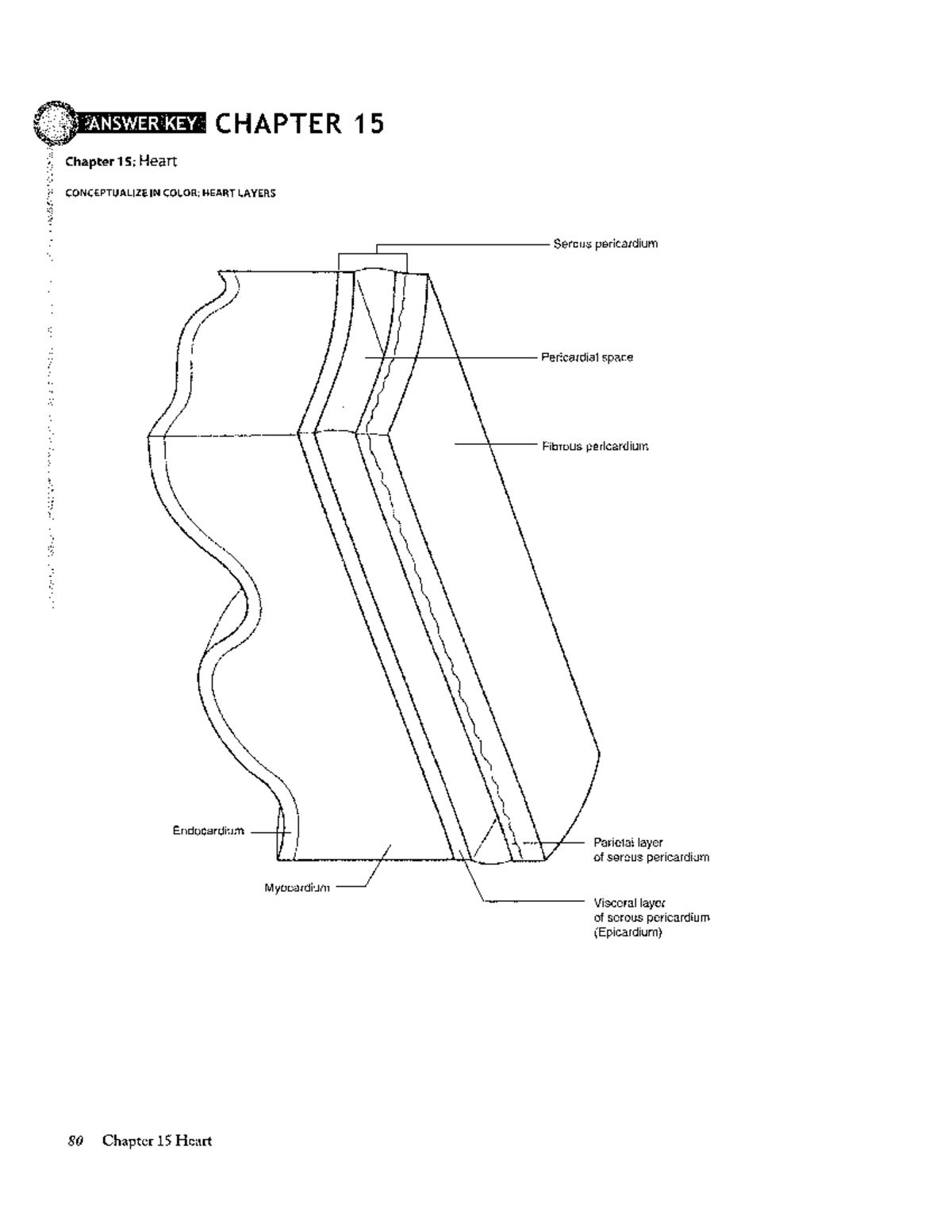 AP Ch 15 workbook answers - ADC 423 - Studocu