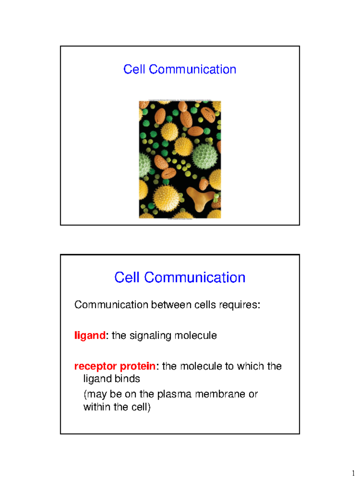 Cell Communication Slides - Cell Communication Cell Communication ...