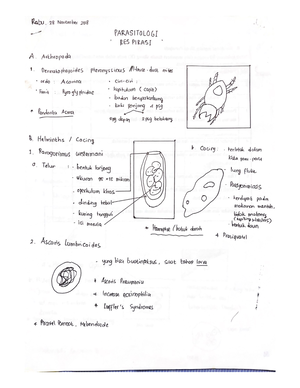 Role of Macrophage in Pneumonia - DAFTAR GAMBAR BAB I PENDAHULUAN BAB ...