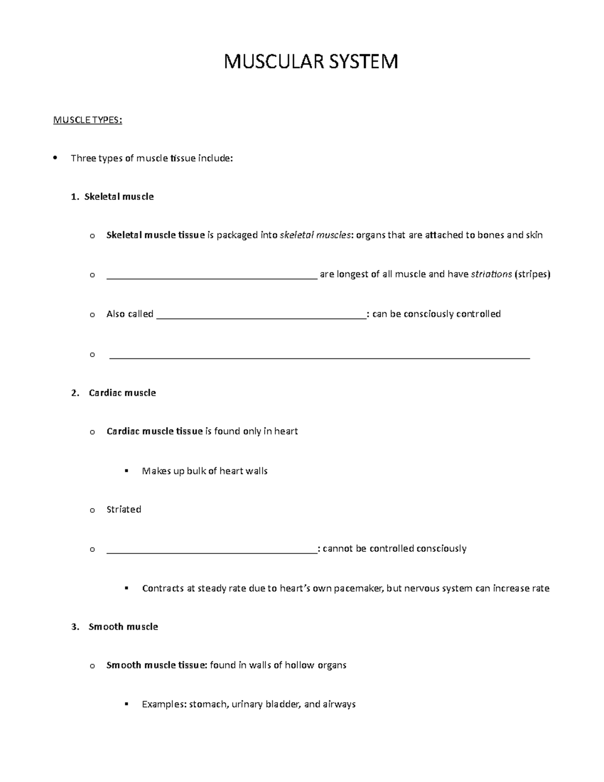 Muscular system - MUSCULAR SYSTEM MUSCLE TYPES: Three types of muscle ...