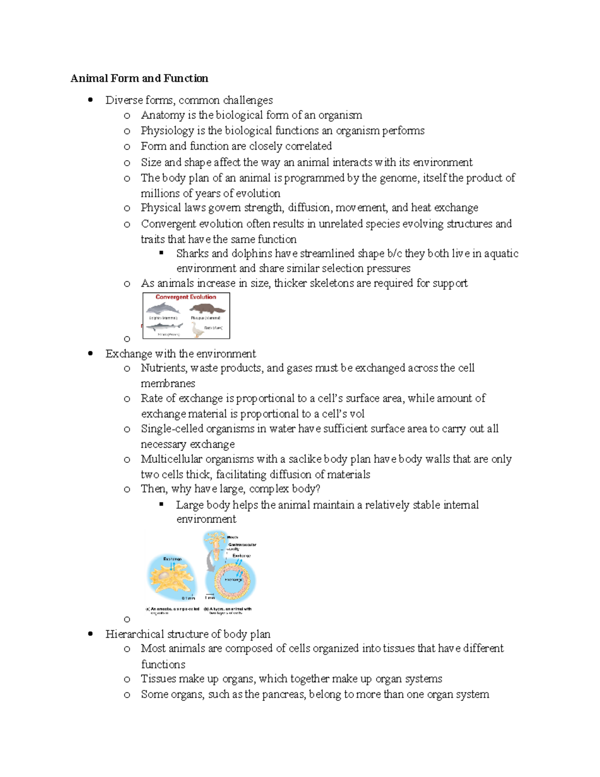 Zoo exam 4 notes - Dr. Vaskar Nepal - Animal Form and Function Diverse ...