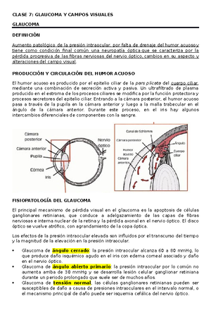 Conjuntivitis - Enfermedades del ojo - GUÍA DE PRÁCTICA CLÍNICA GPC ...