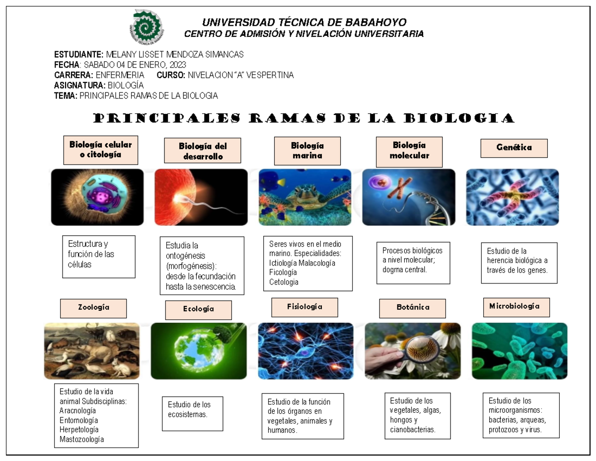 Principales Ramas DE LA Biologia - UNIVERSIDAD TÉCNICA DE BABAHOYO ...