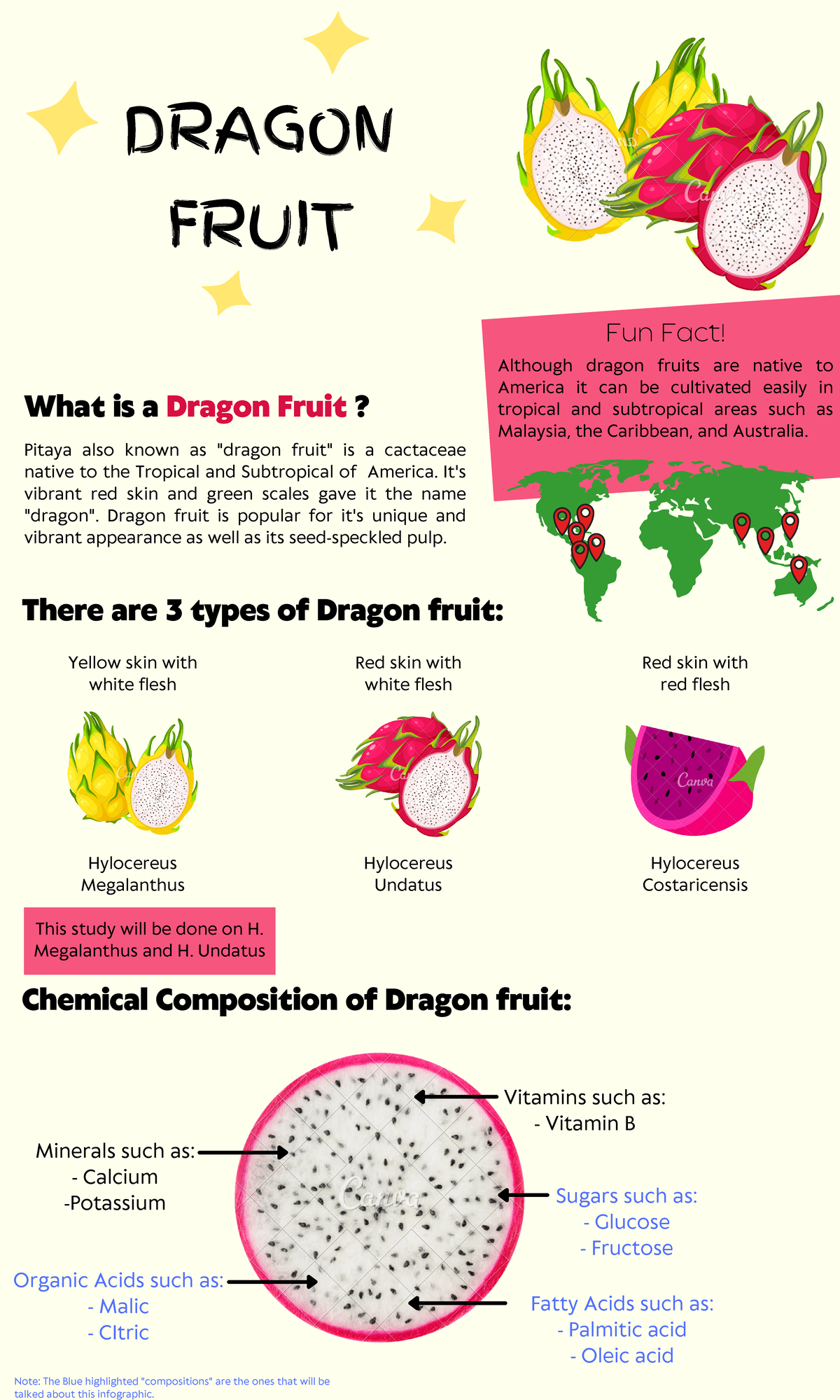 Dragon Fruit poster yang mantap gila for fst 261 assignment - DRAGON ...
