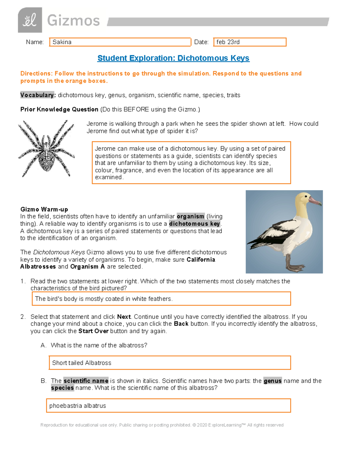 Odessa gizmo - assignment - Name: Sakina Date: feb 23rd Student ...
