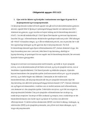 PSY1013 - Nervesystemet - Inndeling 1 Sentralnervesystemet (CNS ...