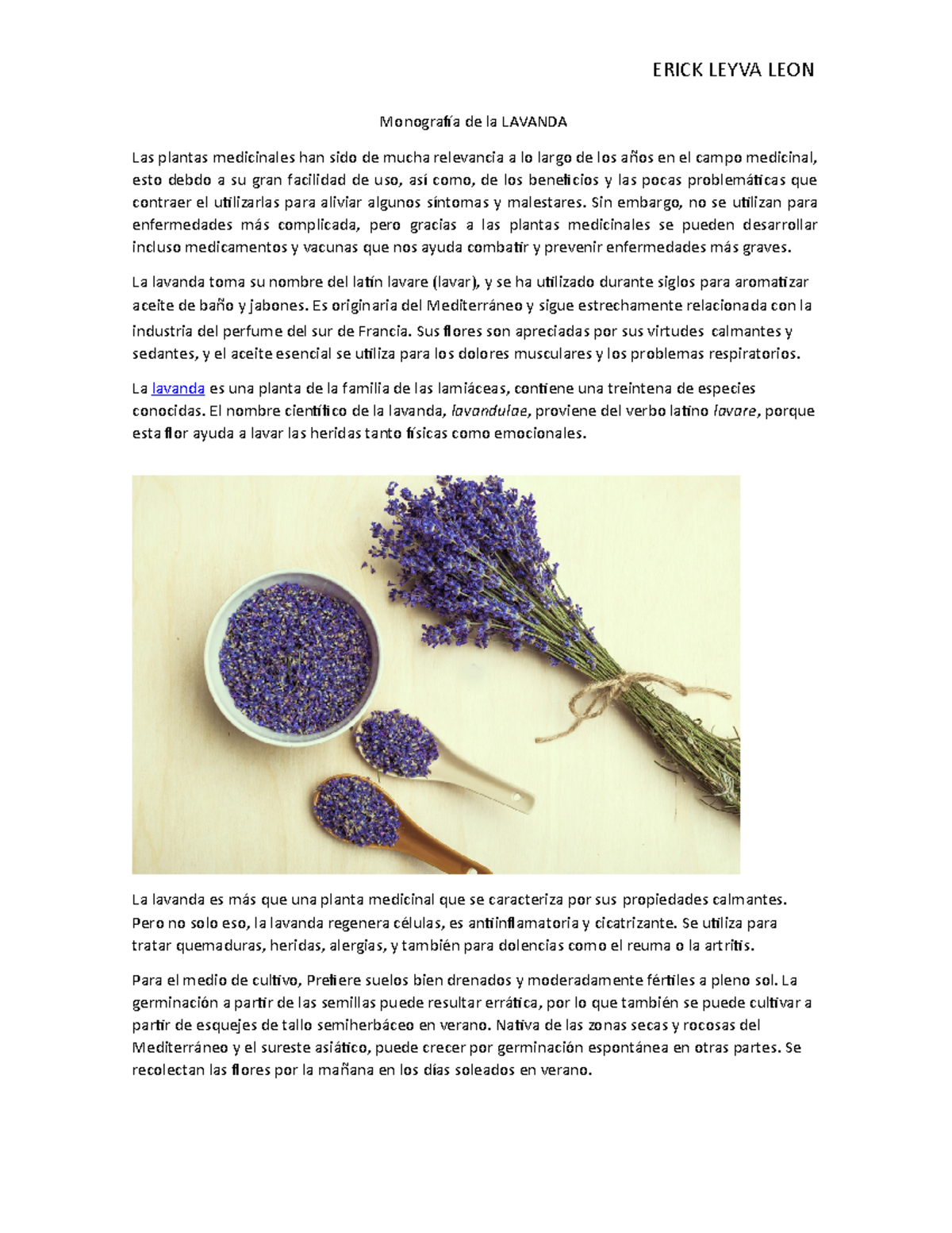 Monografía de la Lavanda (ICF) - ERICK LEYVA LEON Monografía de la LAVANDA Las plantas ...