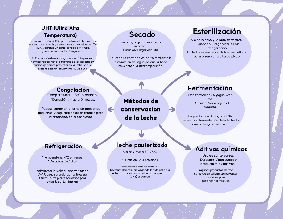 Gráfico Mapa mental Orgánico Lila 20231004 182538 0000 - Métodos de conservacion de la leche ...