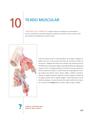 Unidad 5 - Resumen Estructura Y Funcion Del Cuerpo Humano - ESTRUCTURA ...