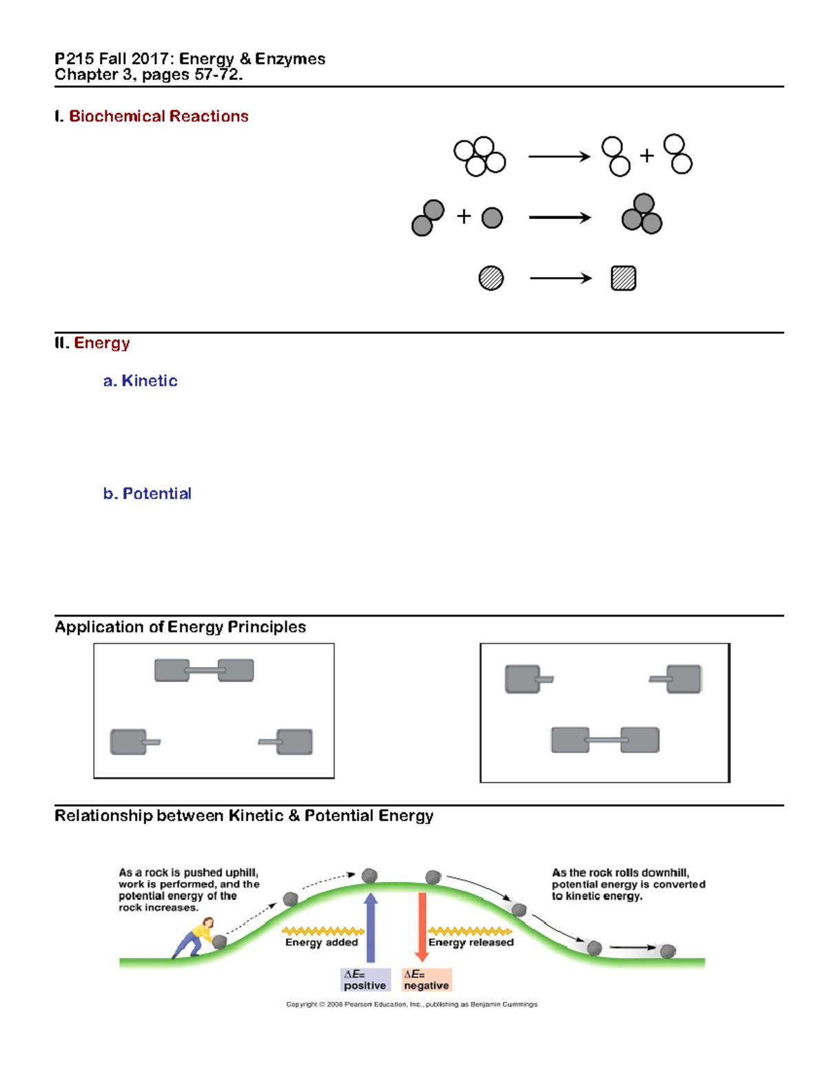 Ch. 3 - energy & enzymes - Lecture notes 3 - P215 Fall 2017: Energy ...