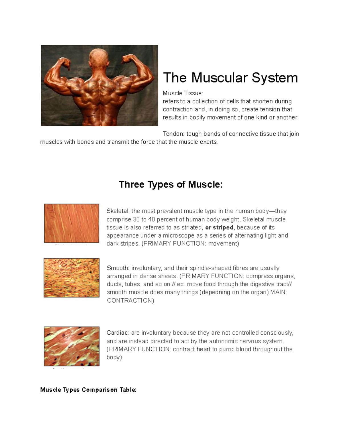 Chapter 3 - The Muscular System - The Muscular System Muscle Tissue ...