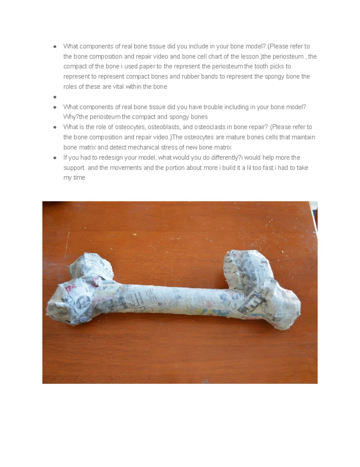 What Components Of Real Bone Tissue Did You Include In Your Bone Model