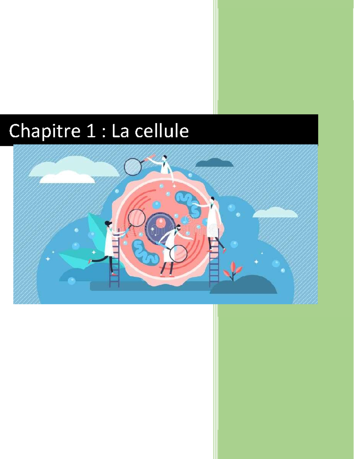 Objectif chapitre 1 - Chapitre 1 : La cellule 1. Identi er les ...