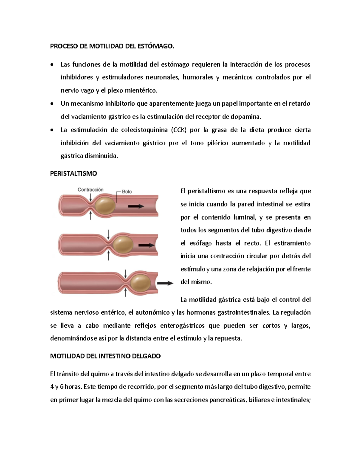 Prereporte práctica 9 - PROCESO DE MOTILIDAD DEL ESTÓMAGO. Las ...