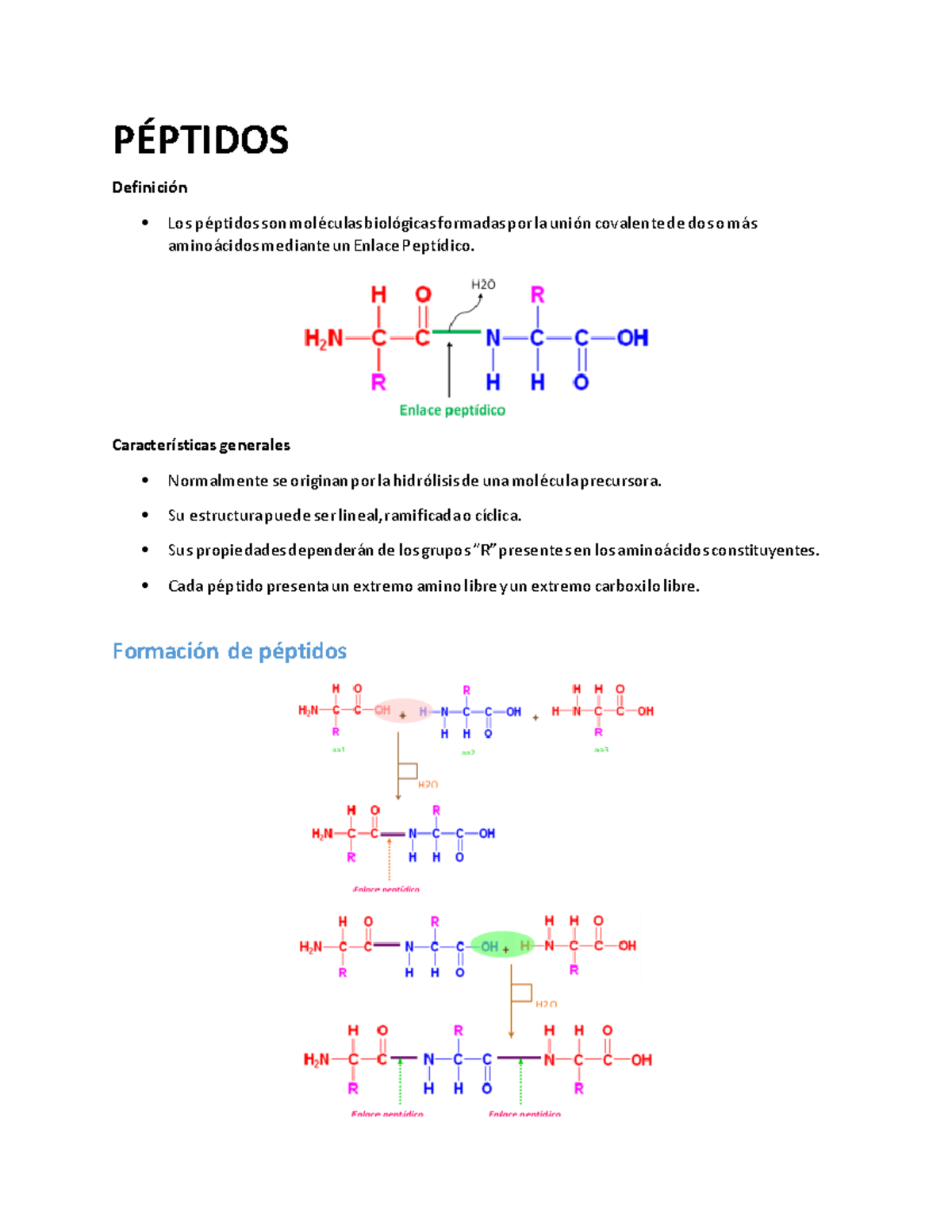 Péptidos - PÉPTIDOS Definición Los péptidos son moléculas biológicas ...