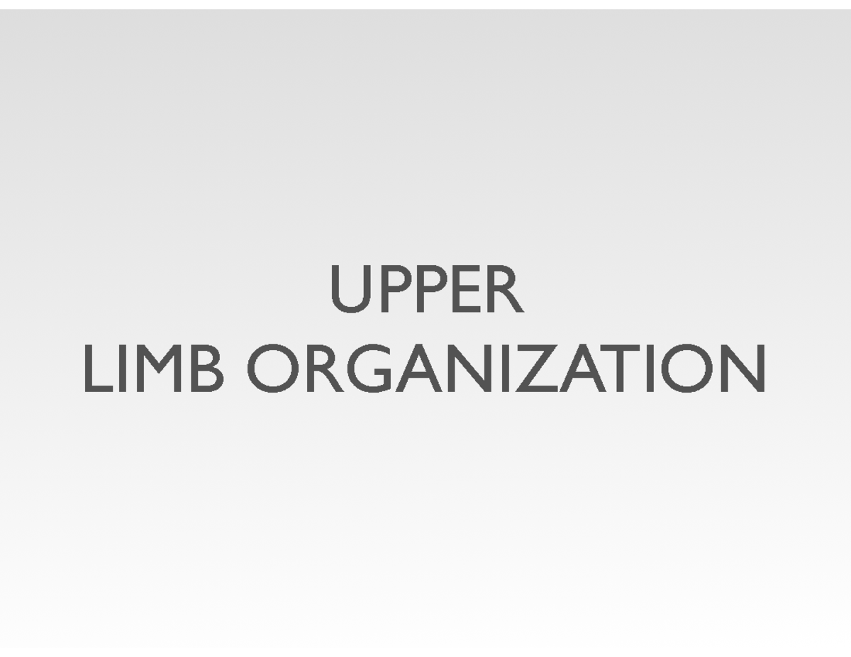 Upper Limb Org - notes - UPPER LIMB ORGANIZATION OUTLINE • Upper Limb ...