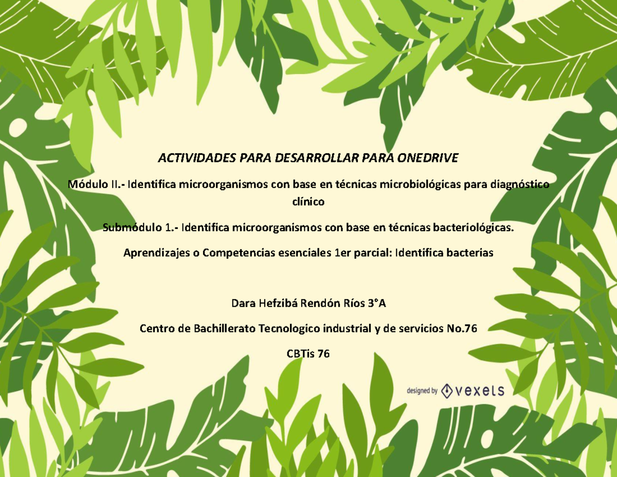 Cuadro comparativo Dara Hefzibá Rendón Ríos 3°A - ACTIVIDADES PARA ...