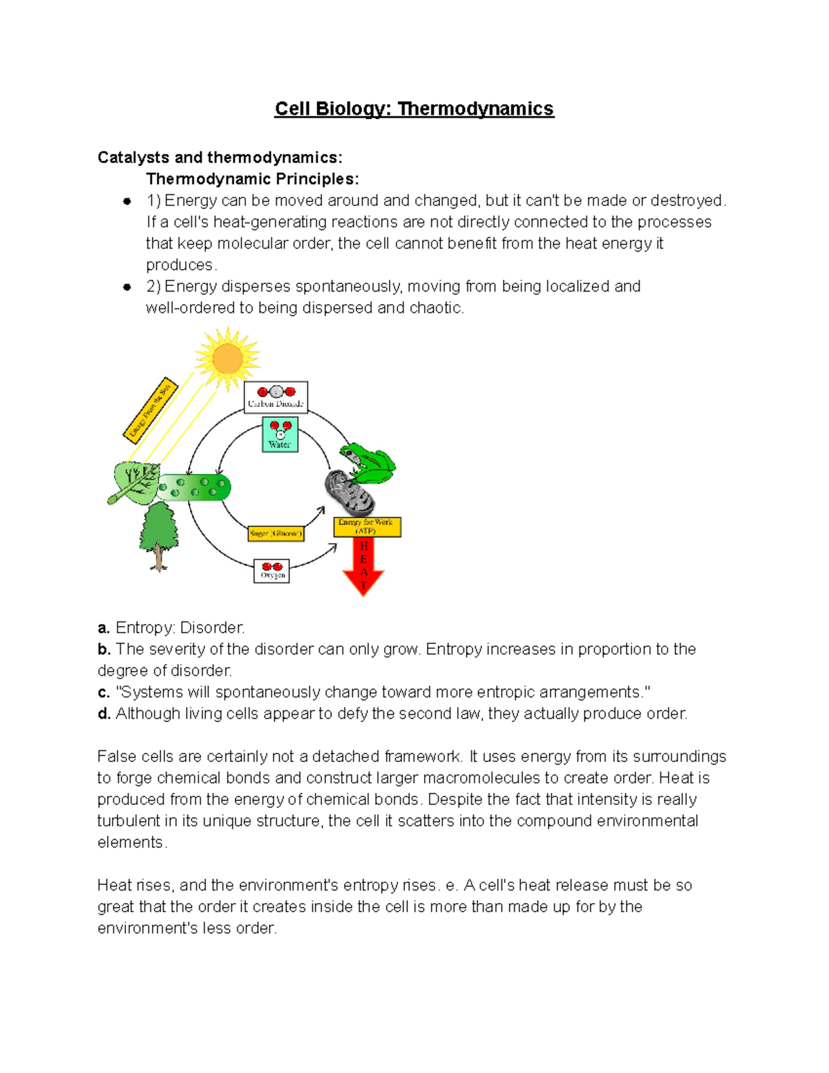 Cell Biology Thermodynamics - Cell Biology: Thermodynamics Catalysts ...
