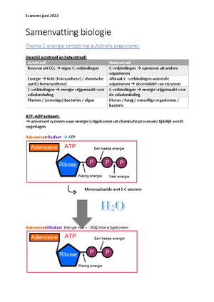 ALLES IN EVENWICHT H1: HOMEOSTASE EN NEGATIEVE TERUGKOPPELING H2: BLOED EN BLOEDSOMLOOP H3 ...