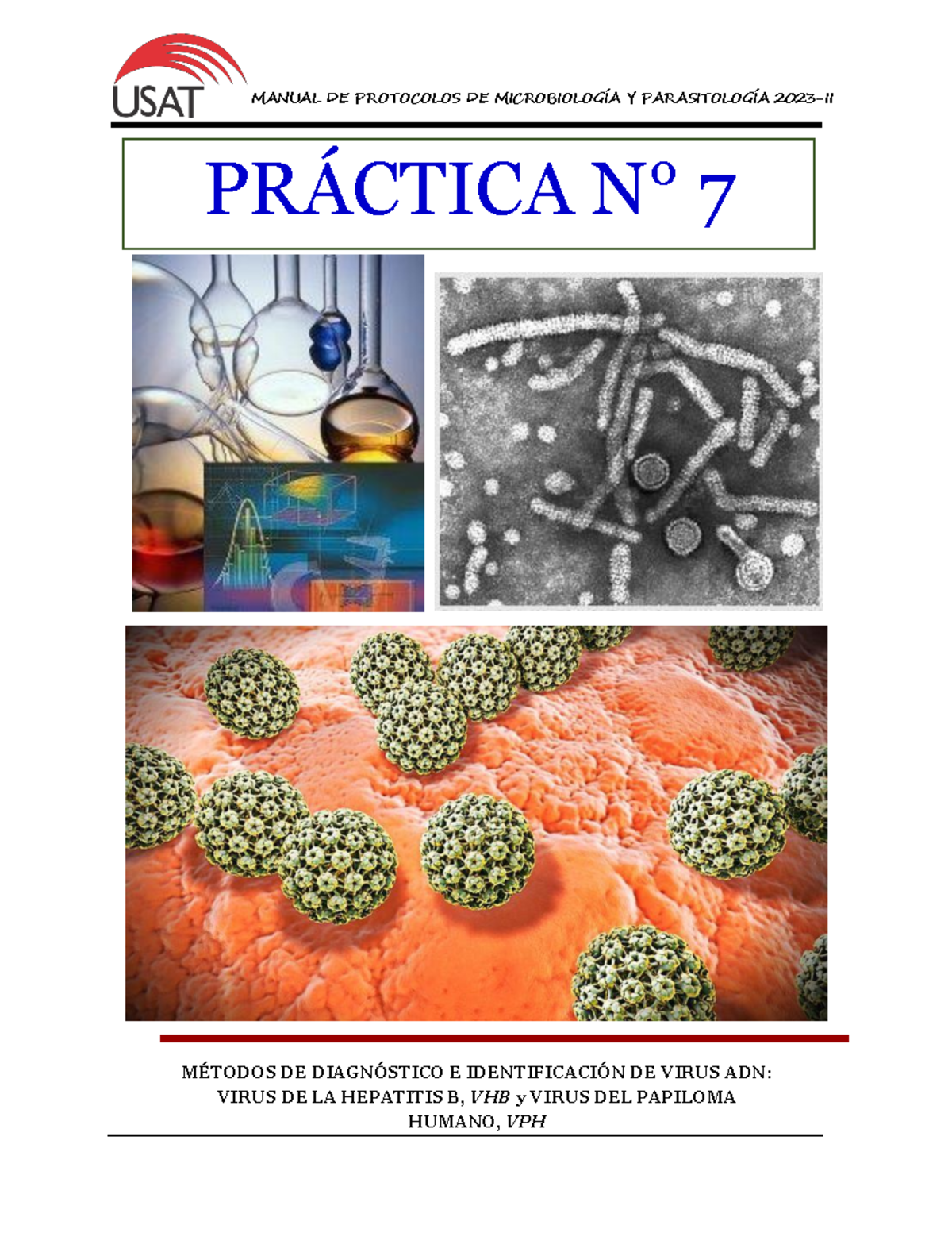 Práctica N° 07 - micro practica - PRÁCTICA N° 7 MÉTODOS DE DIAGNÓSTICO E IDENTIFICACIÓN DE VIRUS ...