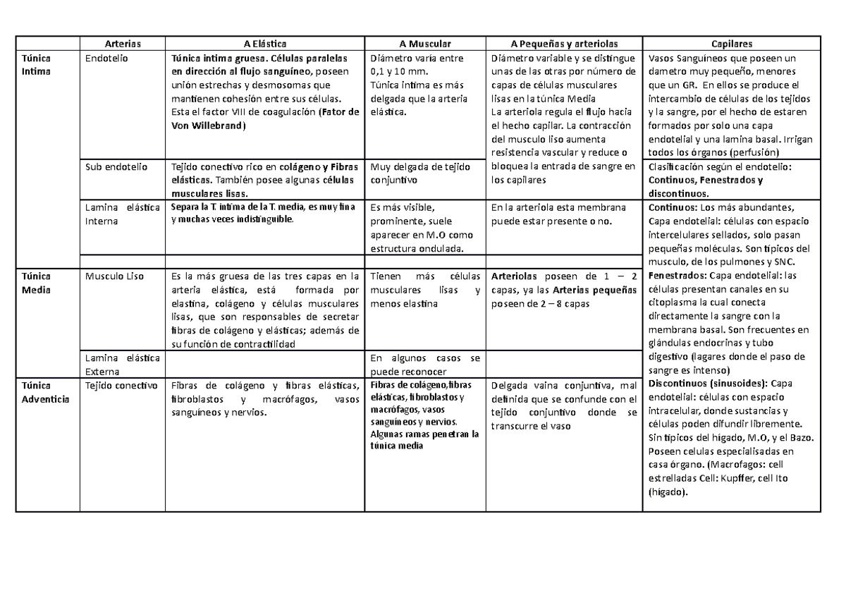 Tabla de comparación de las tres capas de las Arterias y venas - Túnica ...