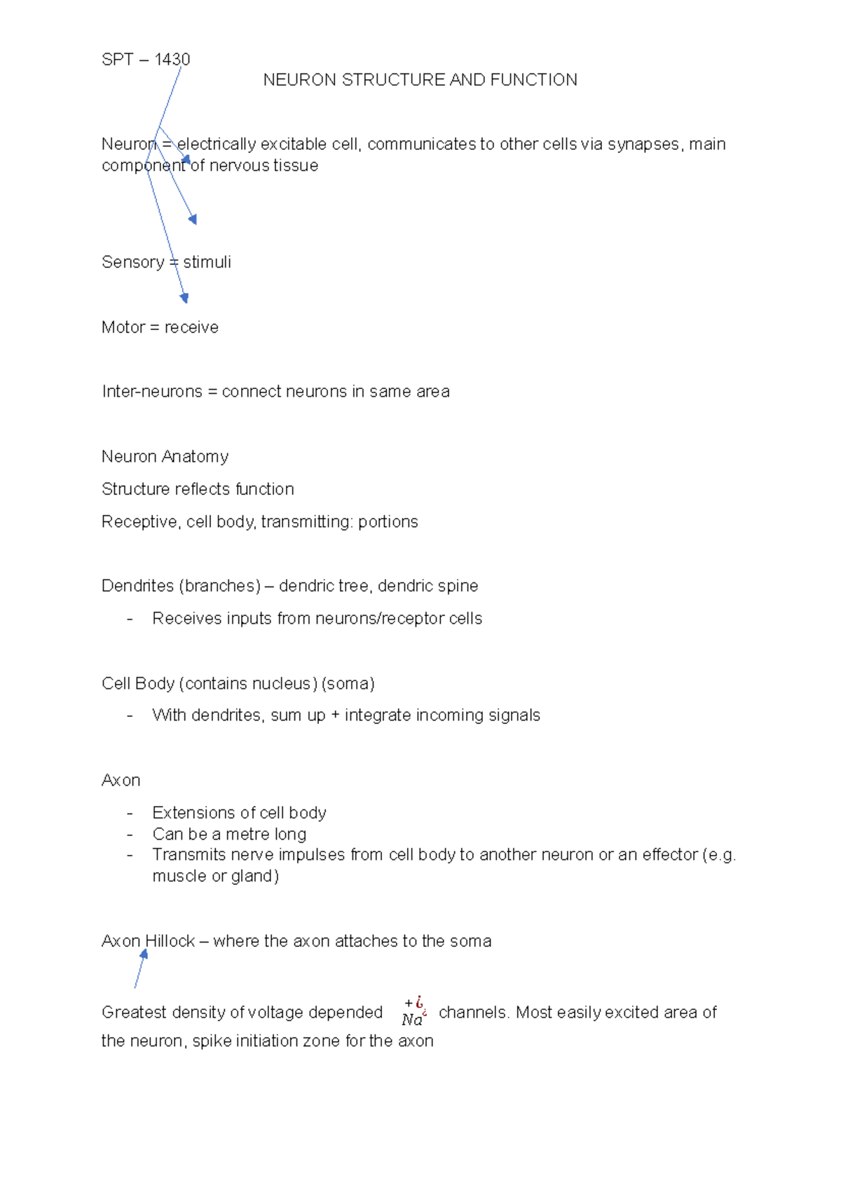 Neuron structure and function - NEURON STRUCTURE AND FUNCTION Neuron ...