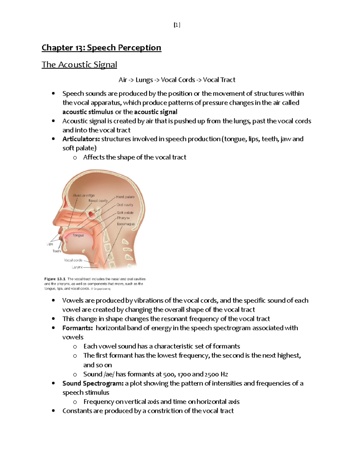 Chapter 13 - Speech Perception - Psyc 333 - AU - Studocu