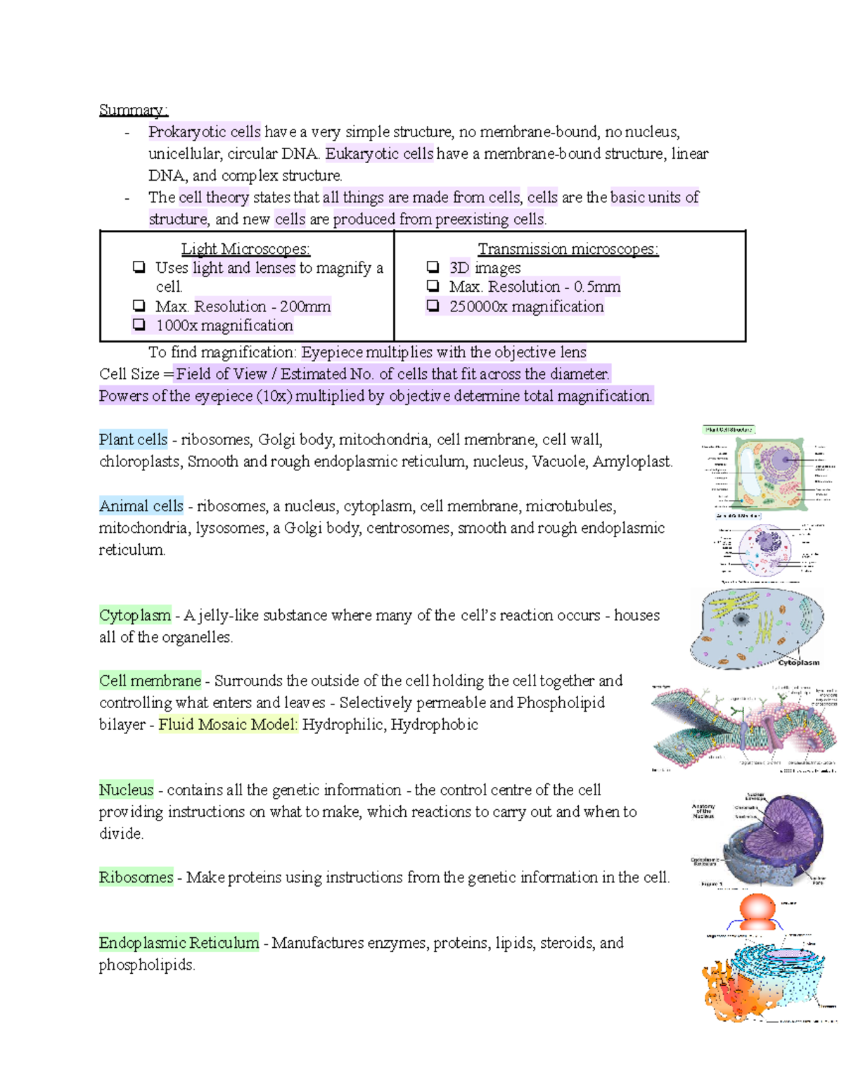 Summary Notes - Cell Structure - Summary: - Prokaryotic cells have a ...
