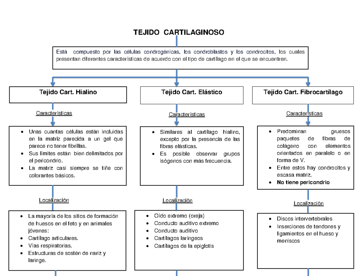 Tejido Cartilaginoso 2 - TEJIDO CARTILAGINOSO Está compuesto por las ...