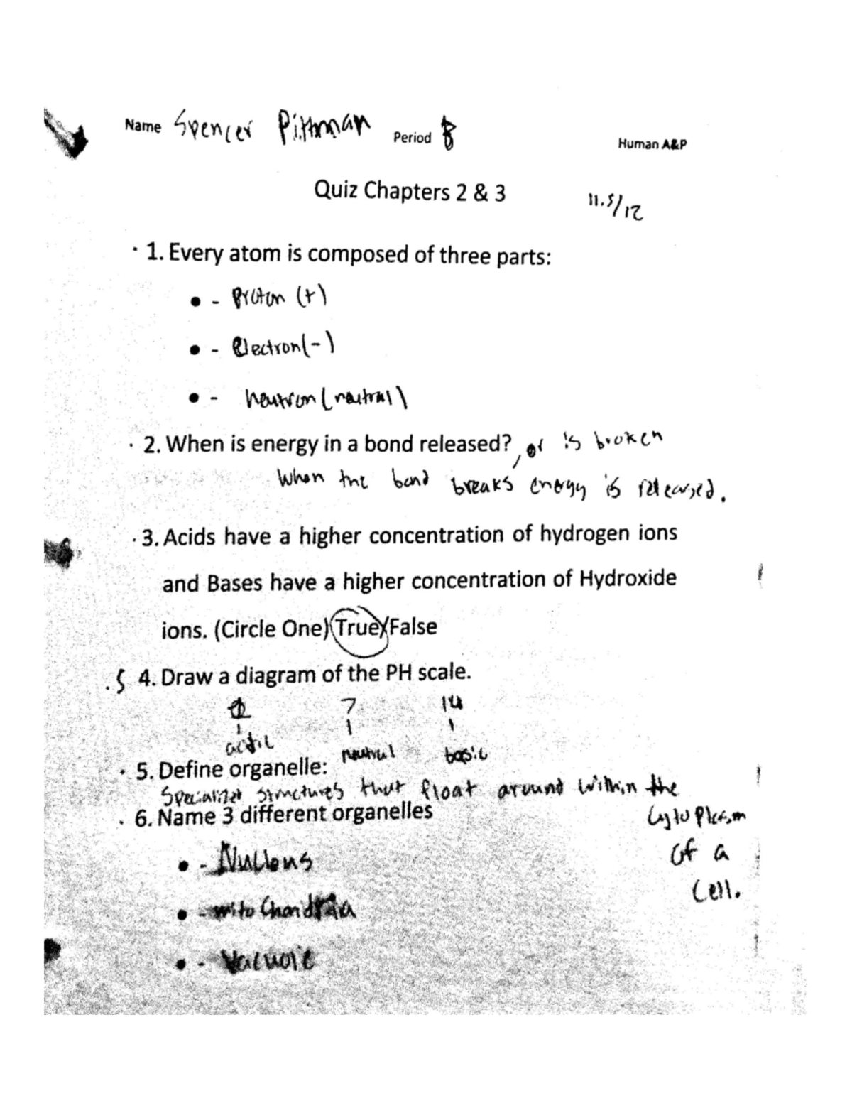 Chapter 2 and 3 quiz - BIO 2025 - Studocu