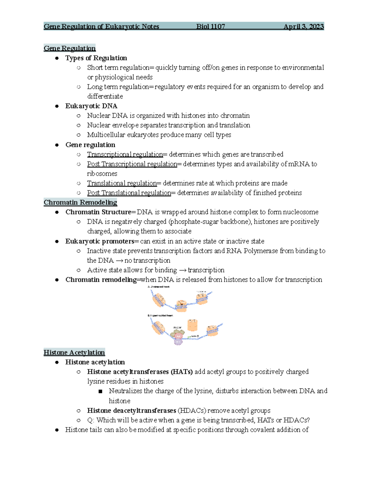 Gene Regulation of Eukaryotic Notes - Gene Regulation Types of ...