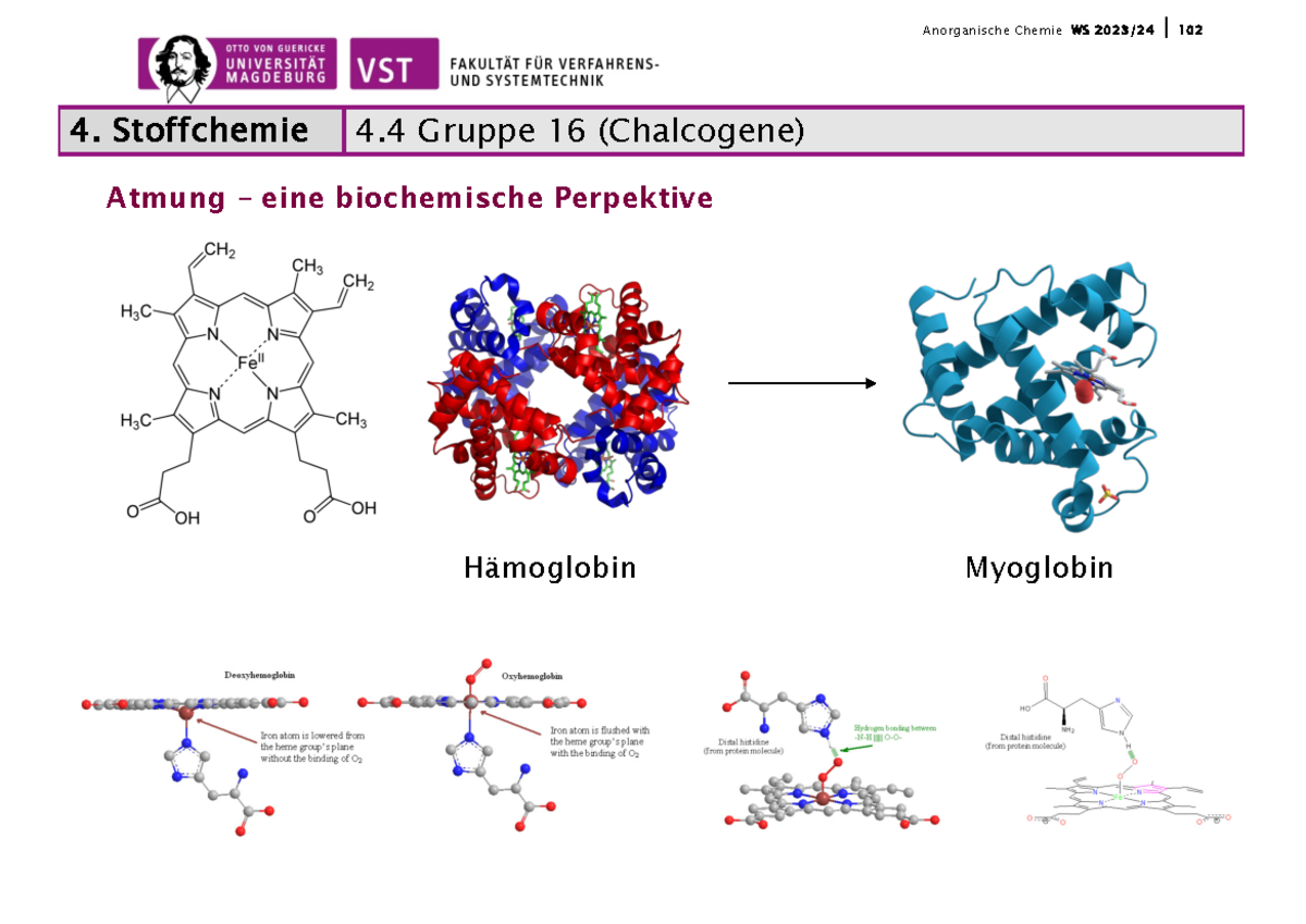 Vorlesung 7 - 4. Stoffchemie 4 Gruppe 16 (Chalcogene) Atmung – eine ...