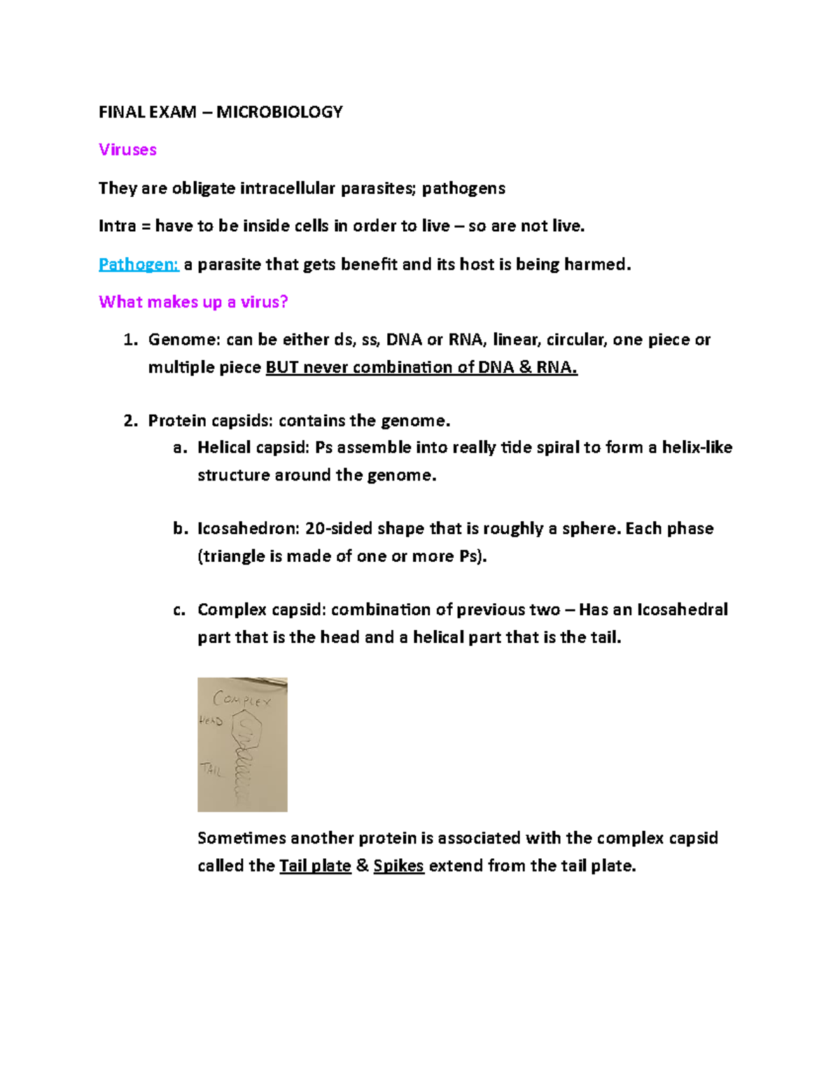 Microbiology Lecture Notes - FINAL EXAM MICROBIOLOGY Viruses They are ...
