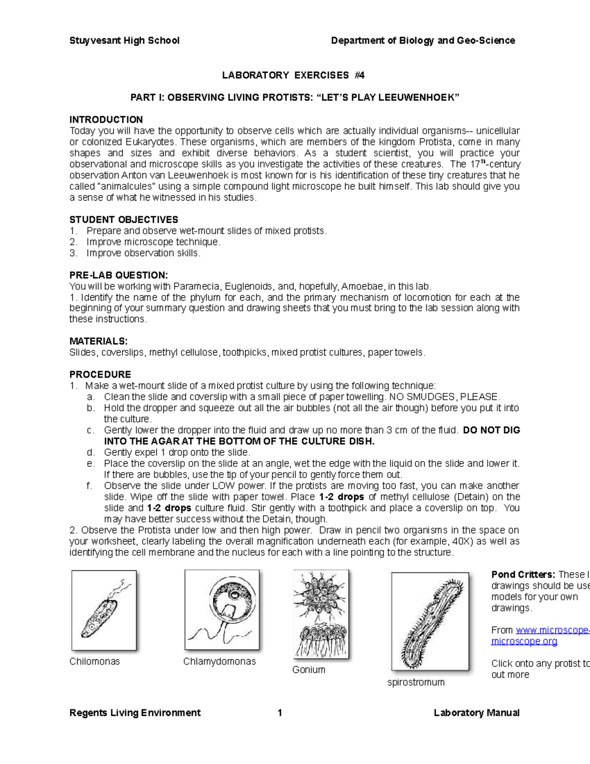 LAB4 Observing living protists Let s play Leeuwenhoek - Stuyvesant High ...