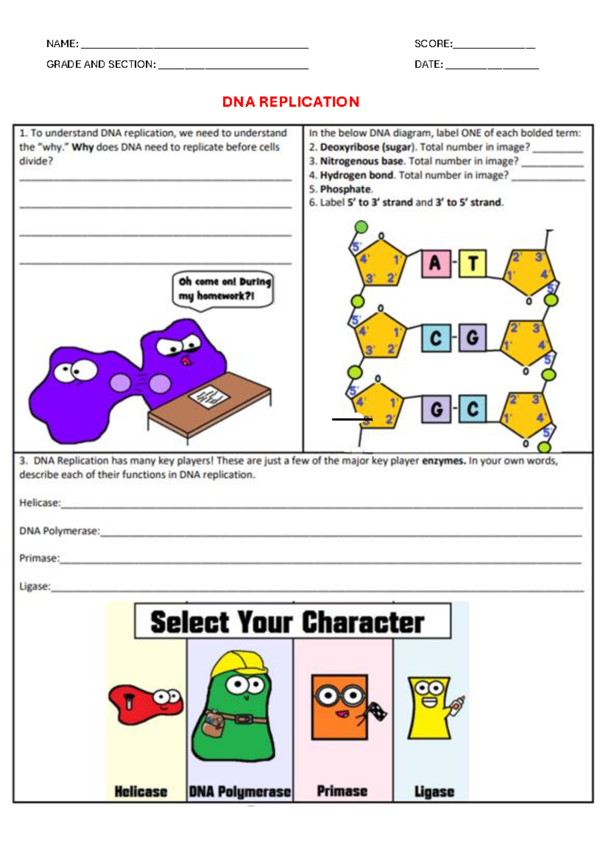 DNA-REPLICATION-WORKSHEET - AB in Science - NAME