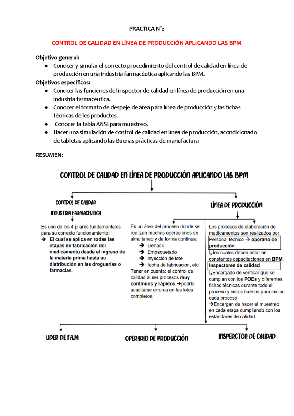 Control DE Calidad EN Línea DE Producción Aplicando LAS BPM - PRACTICA ...