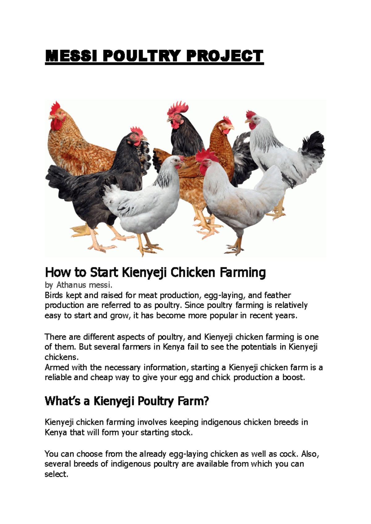 Messi Poultry Project - notes - MESSI POULTRY PROJECT How to Start ...
