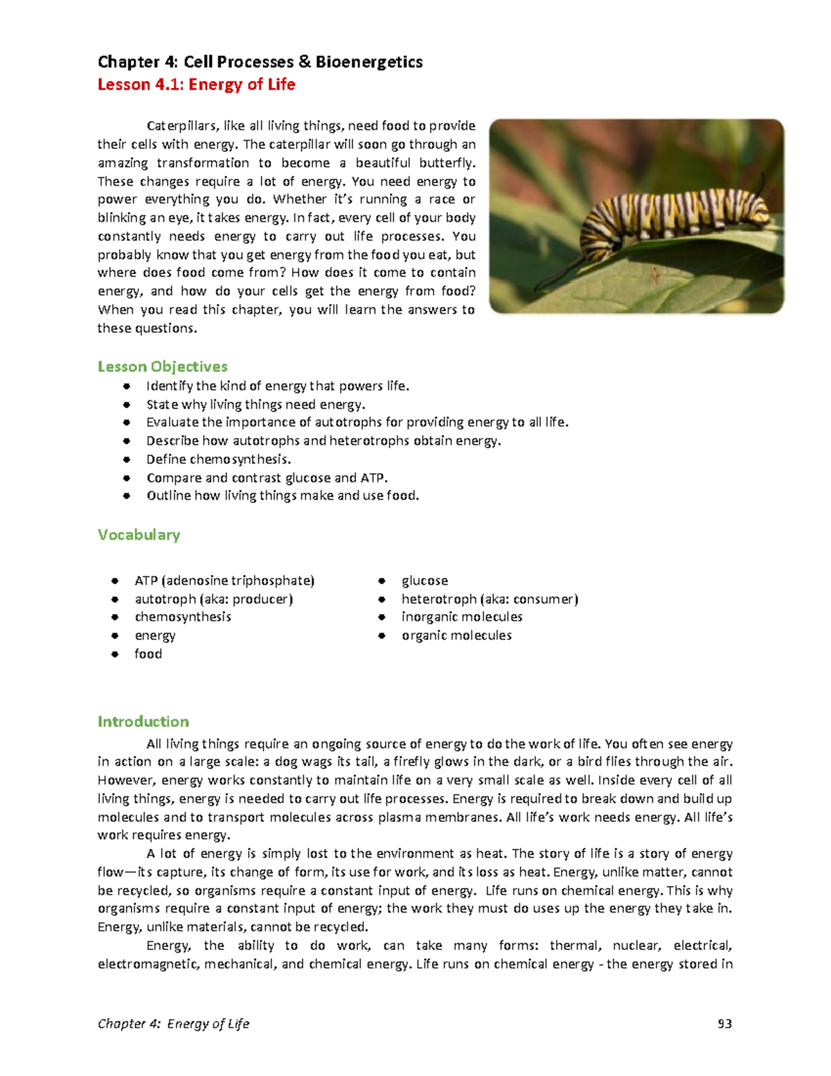 4 1 Energy of Life - Chapter 4: Cell Processes & Bioenergetics Lesson 4 ...