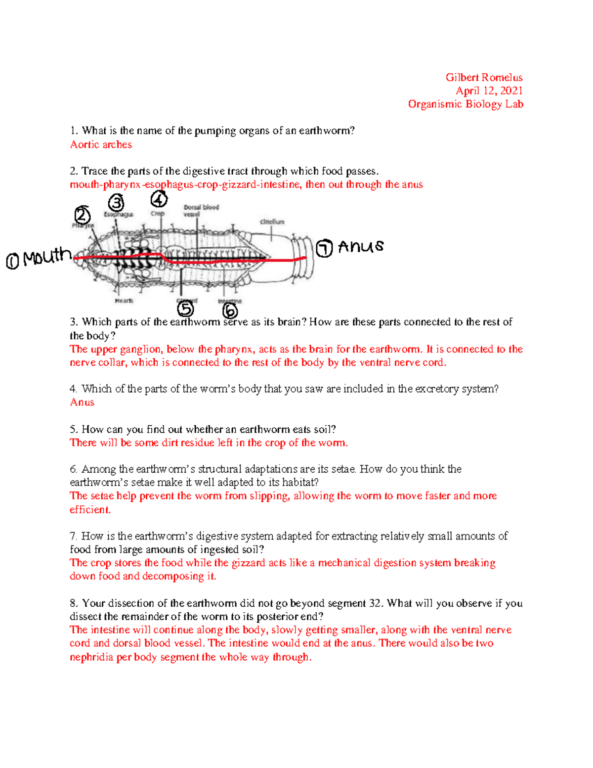 Earthworms Romelus - assignment assigned by professor - Gilbert Romelus ...