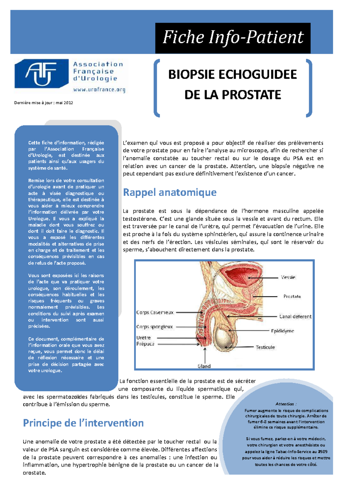 Biopsie-prostate 1 - biopsie prostate - BIOPSIE ECHOGUIDEE DE LA ...