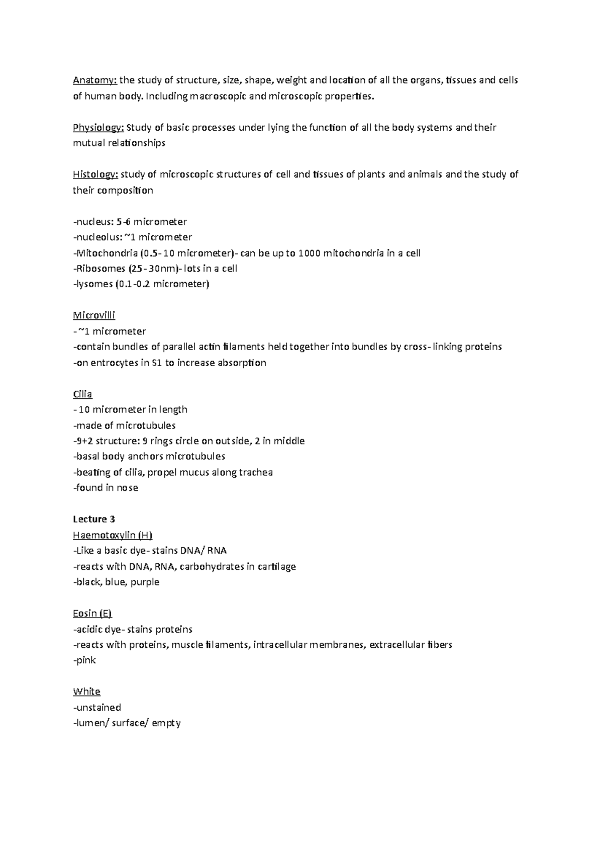Anatomy lecture notes - Anatomy: the study of structure, size, shape ...